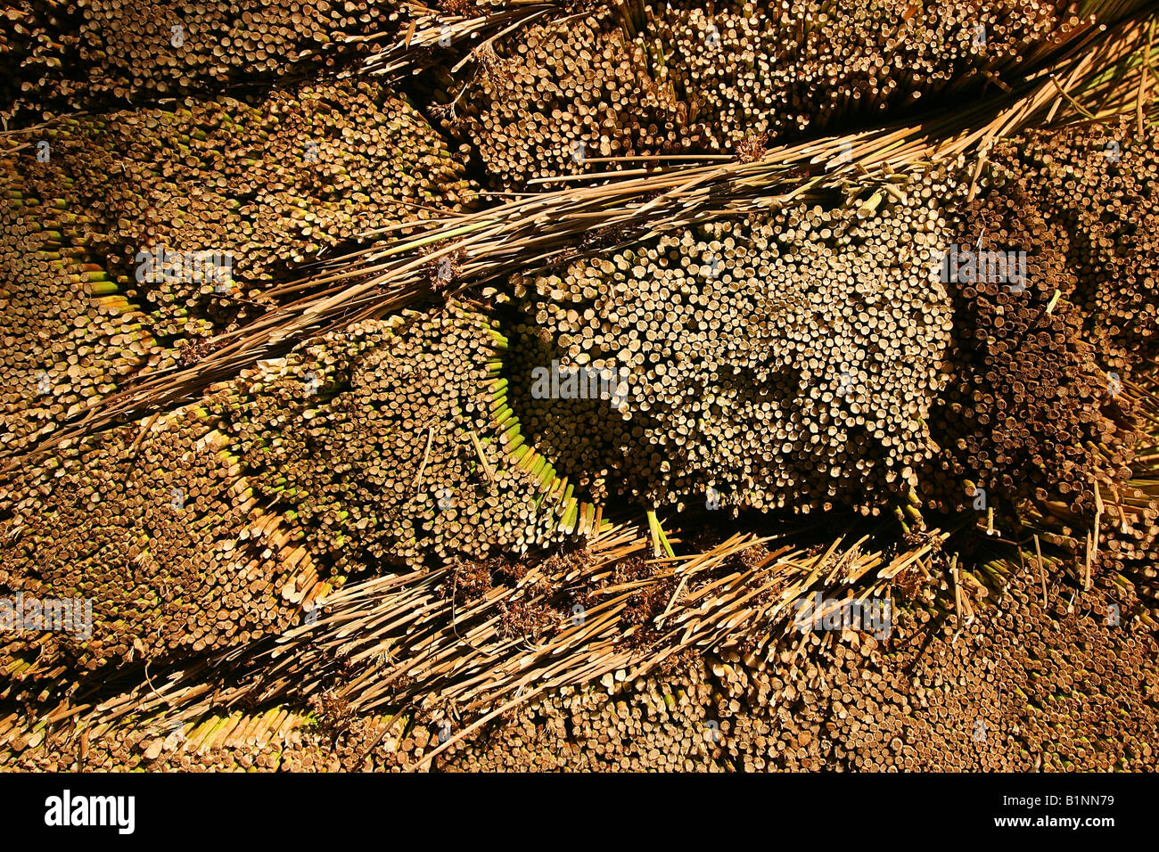 The Saddleworth Rushcart detail Stock Photo - Alamy