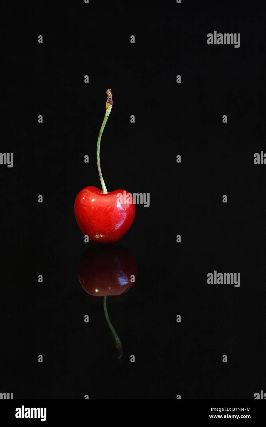 A single red cherry with reflection against a black background Stock ...