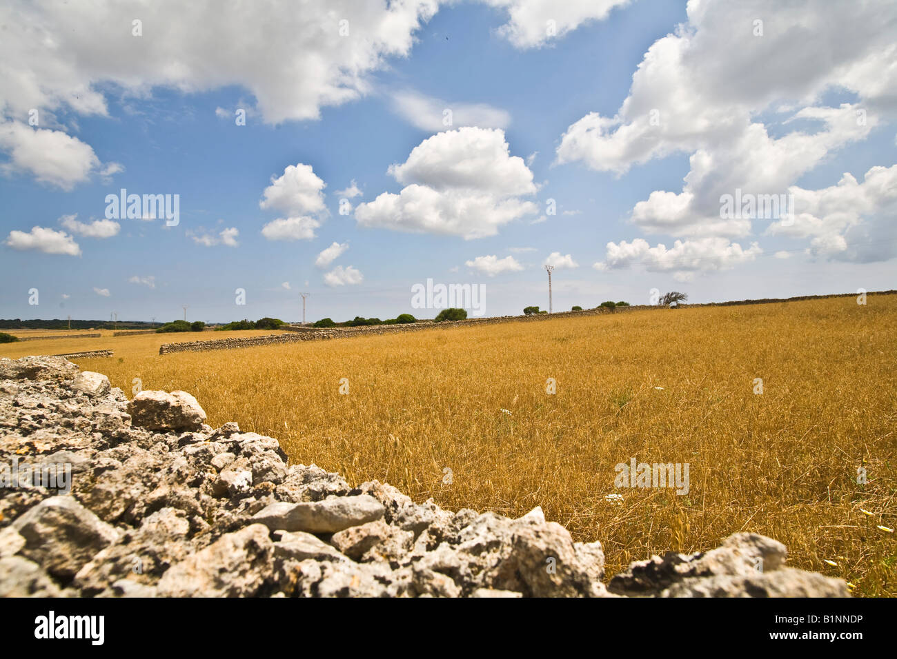 Menorca Landscape near Torre d`en Galmes Minorca Stock Photo - Alamy