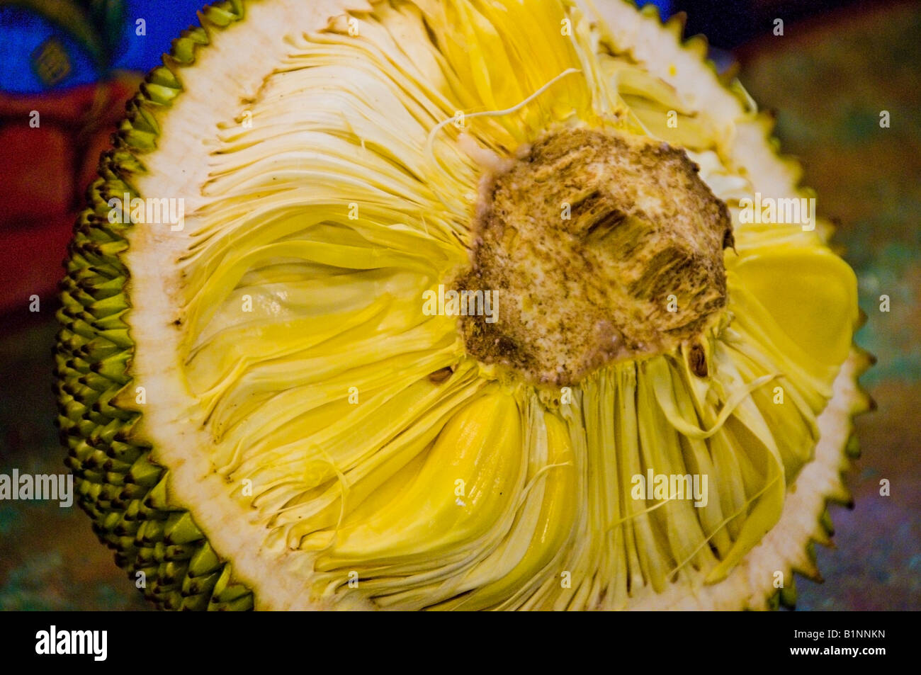 Close up durians hi-res stock photography and images - Alamy