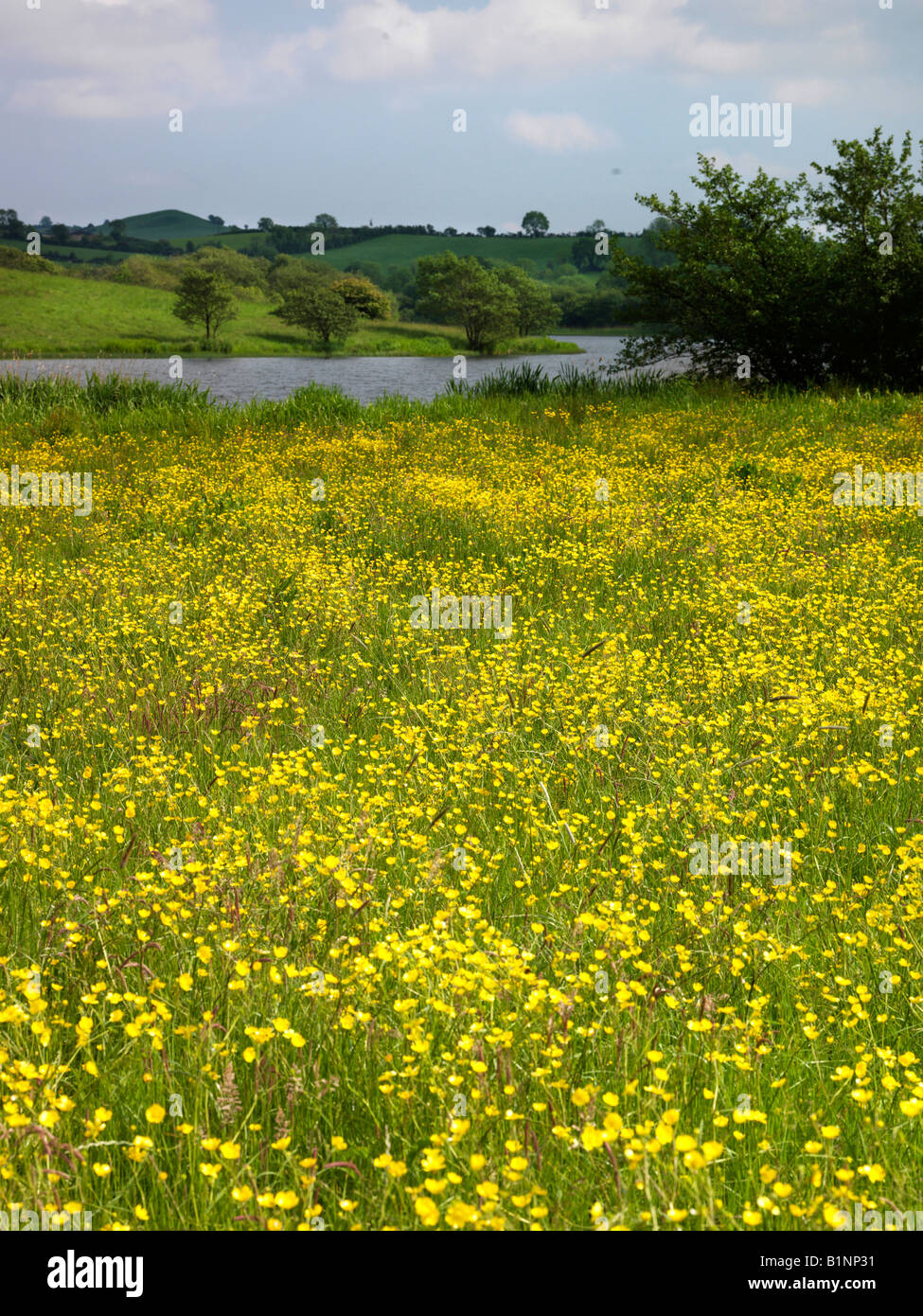 Mullanary Lake Co.Monaghan Ireland Stock Photo - Alamy