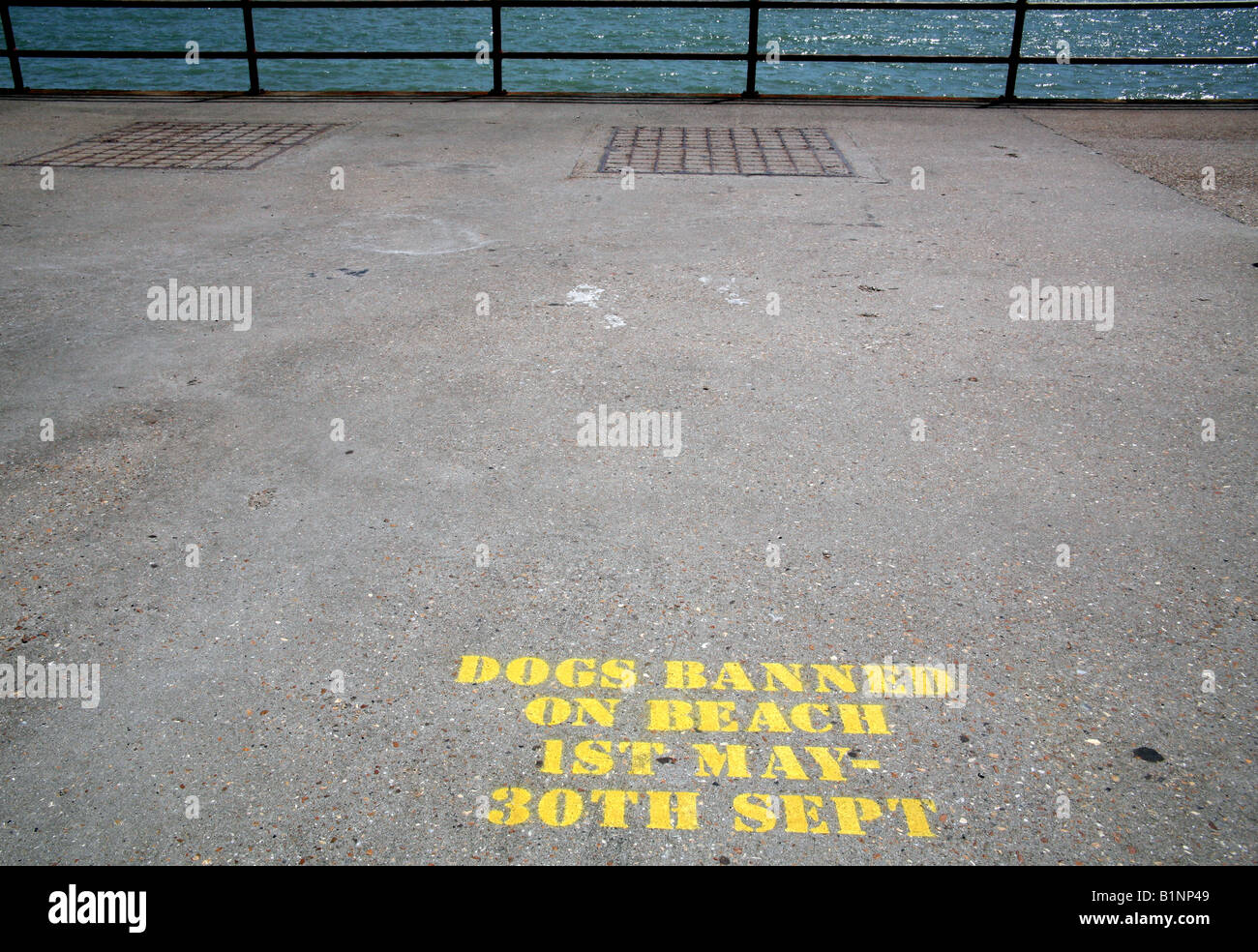 Dogs Banned on Beach sign, England Stock Photo - Alamy