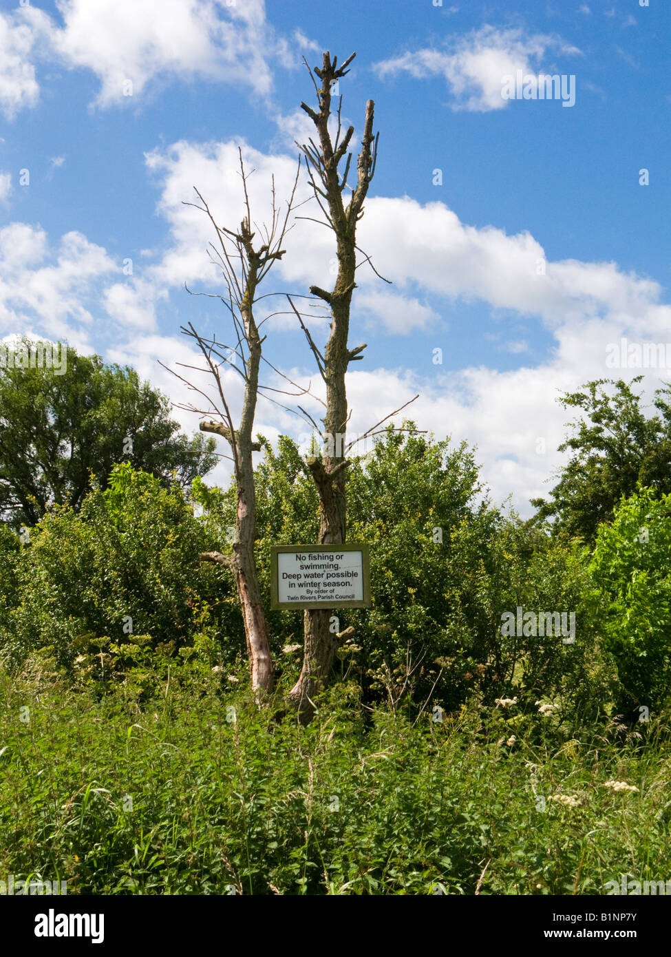 Tree with sign hi-res stock photography and images - Alamy