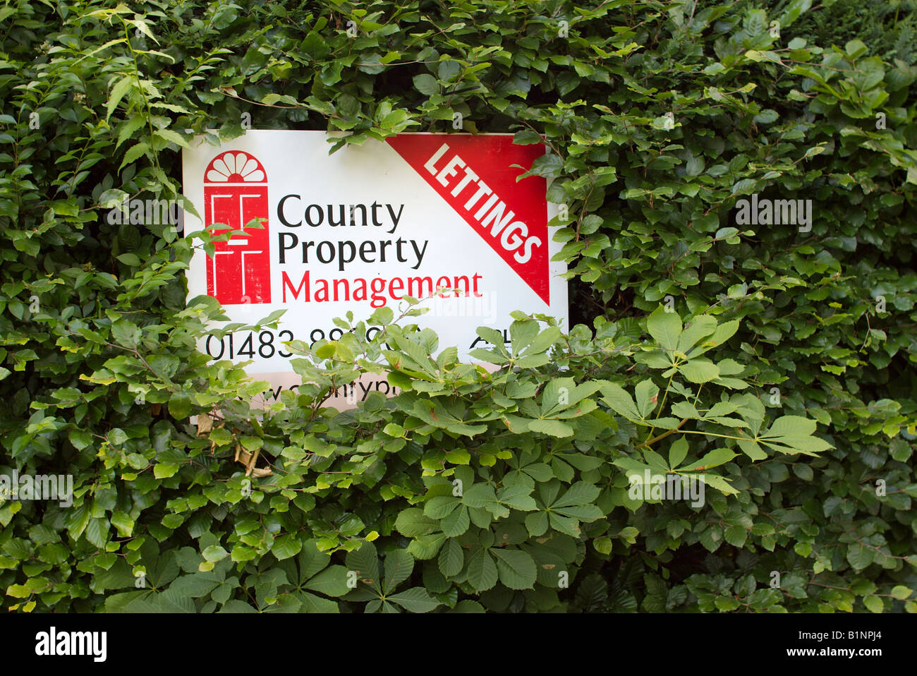 Property management sign hi-res stock photography and images - Alamy
