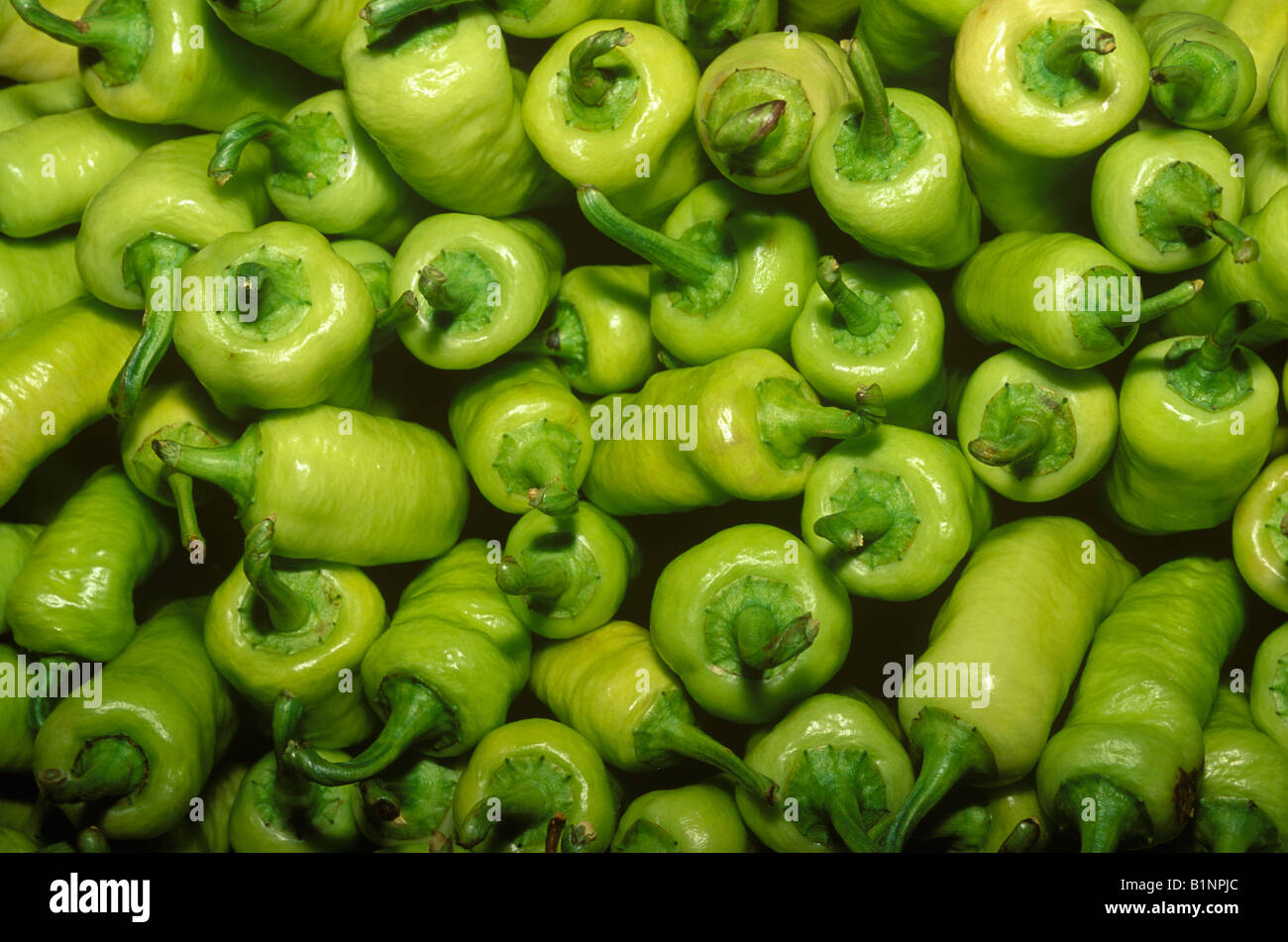 Assorted peppers from markets from Mexican markets Stock Photo - Alamy