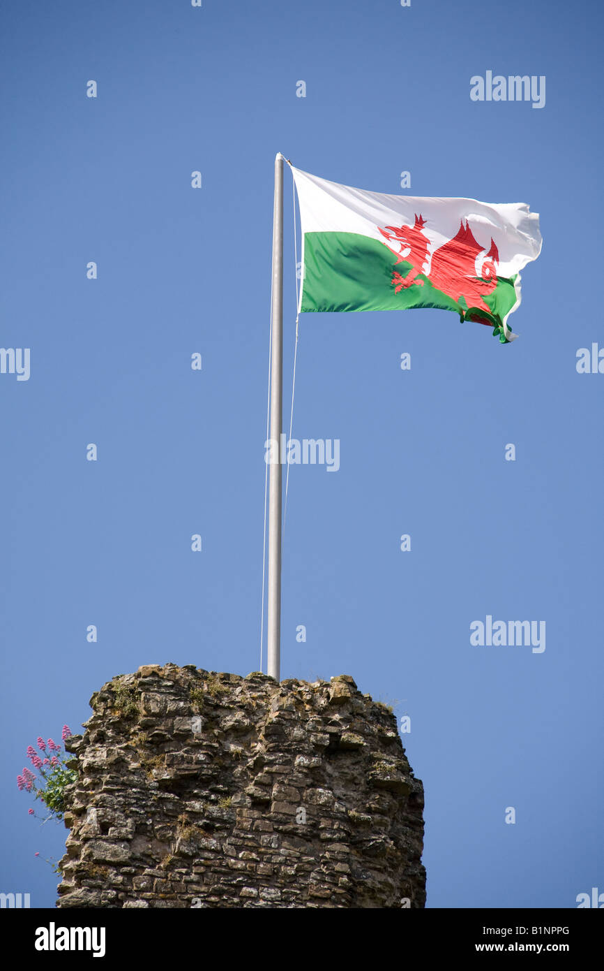 Welsh national flag with red dragon. Flagpole vertical format. Blue sky ...