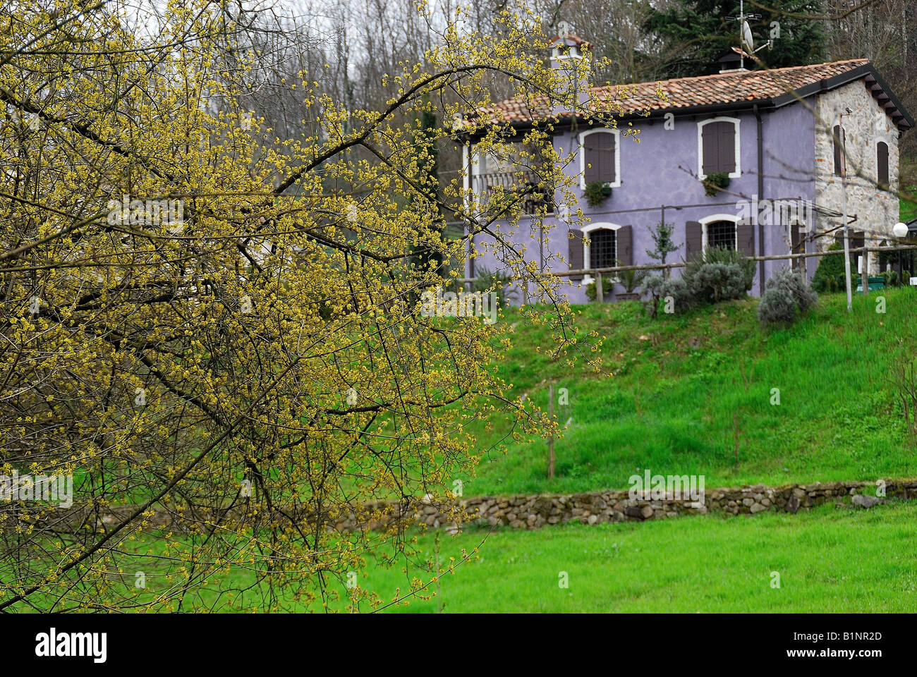 A violet house in the country Stock Photo - Alamy