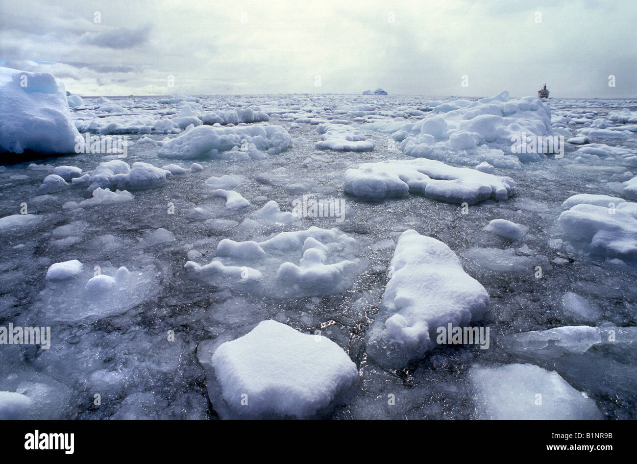 Pack ice floating in the sea with a ship parked in the background in ...