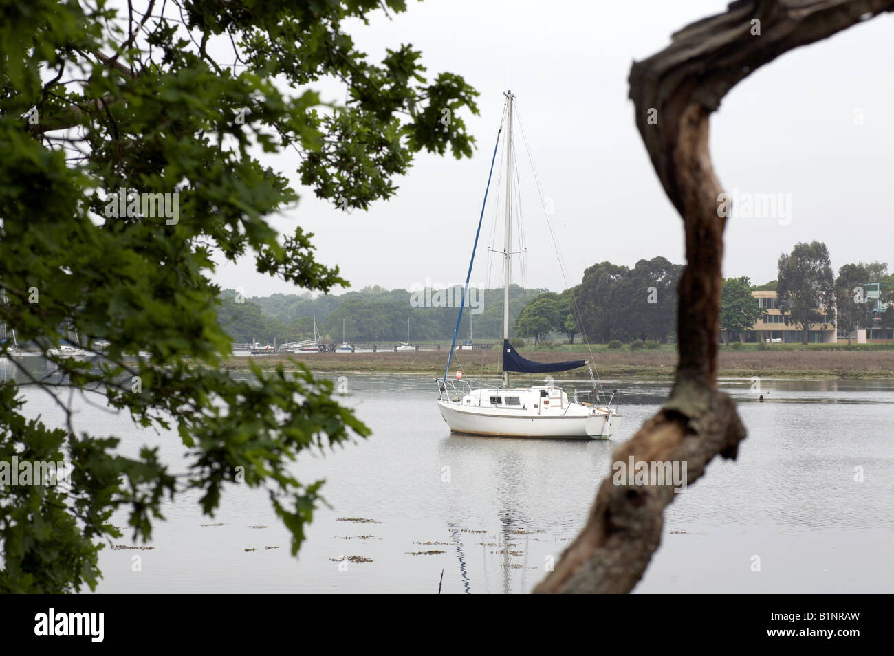 Yacht boat on the solent river in Hampshire England UK Stock Photo - Alamy