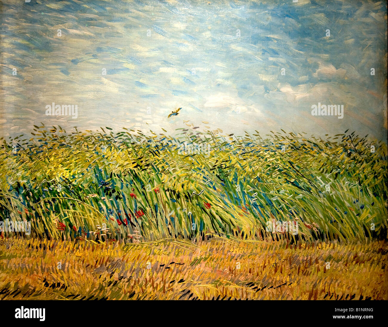 Vincent van gogh 1853 1890 wheatfield with partridge 1887 Netherlands ...