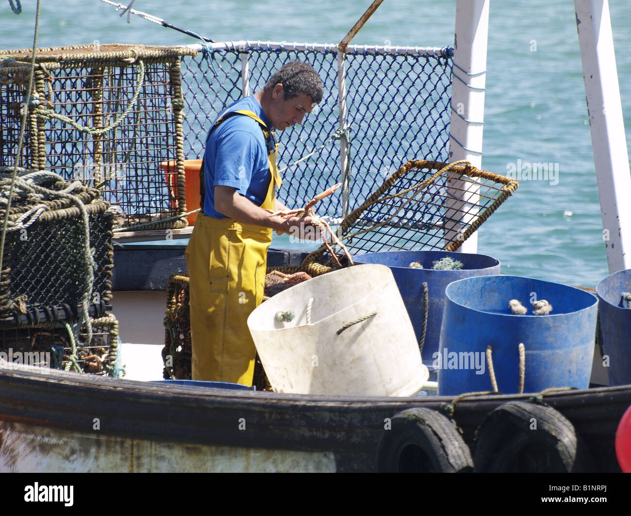 Fisherman sorting through his catch of crab Stock Photo - Alamy