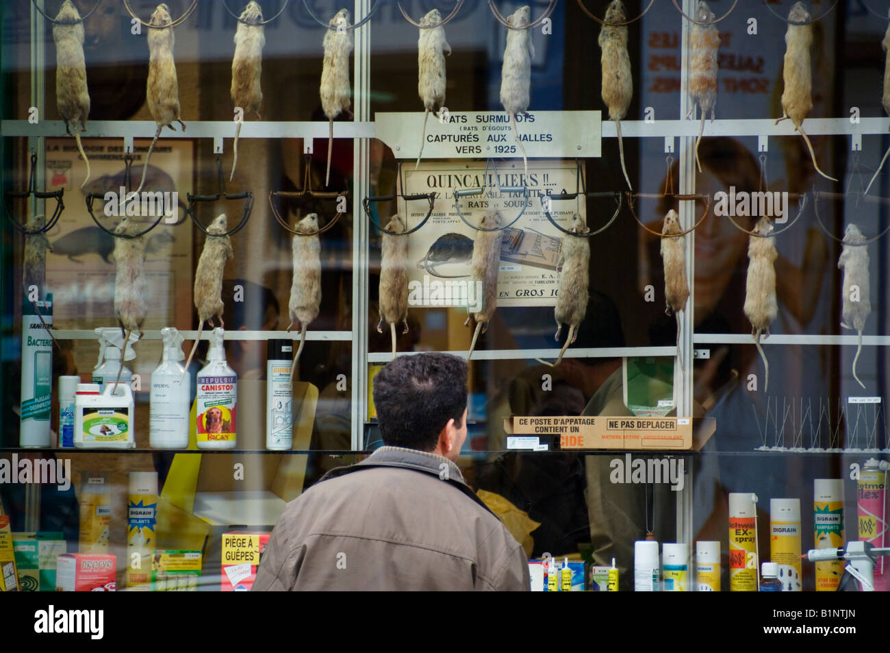 Rats hung in a Paris rodent store Stock Photo - Alamy