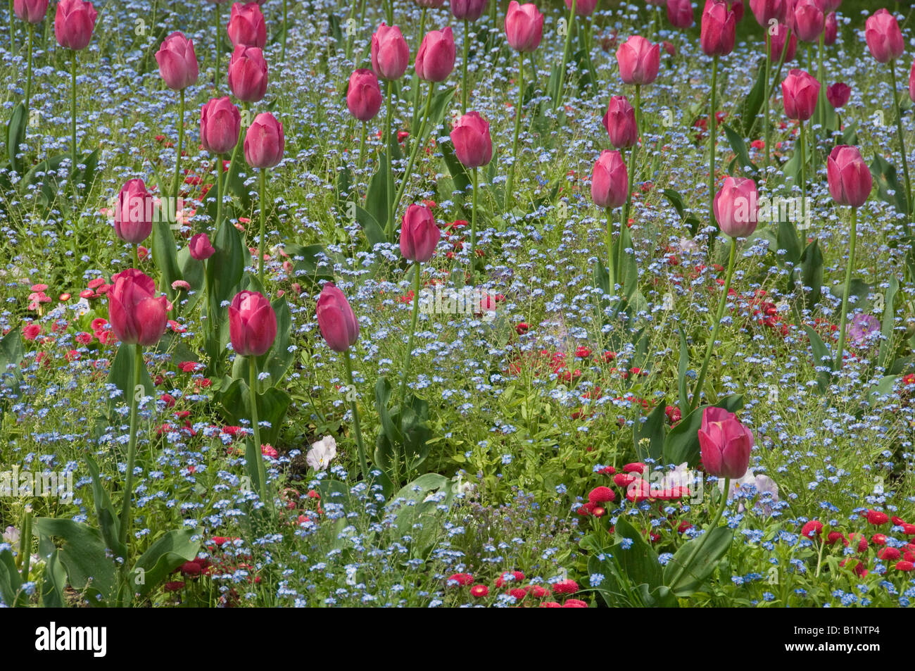Paris park in spring hi-res stock photography and images - Alamy