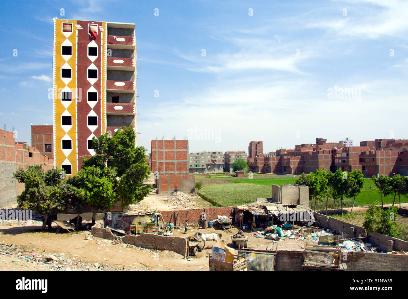 Housing in cairo hi-res stock photography and images - Alamy