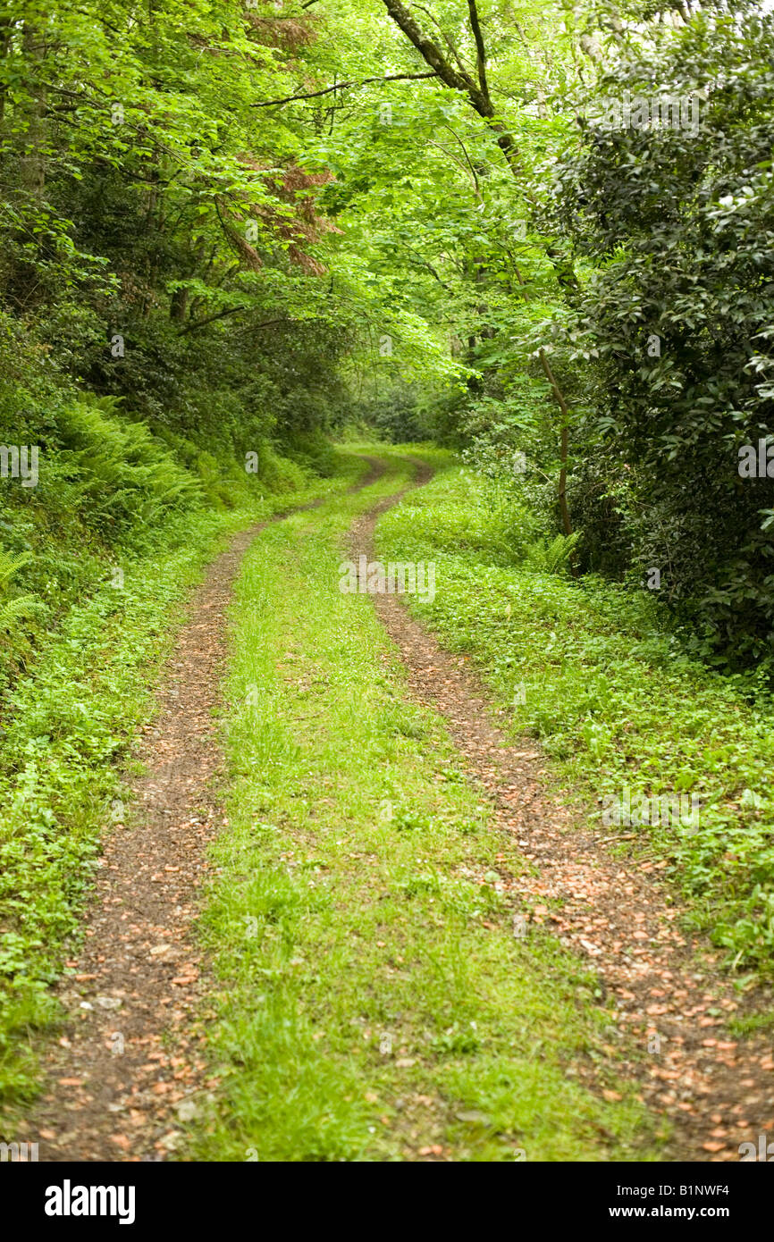 super green country road Stock Photo - Alamy