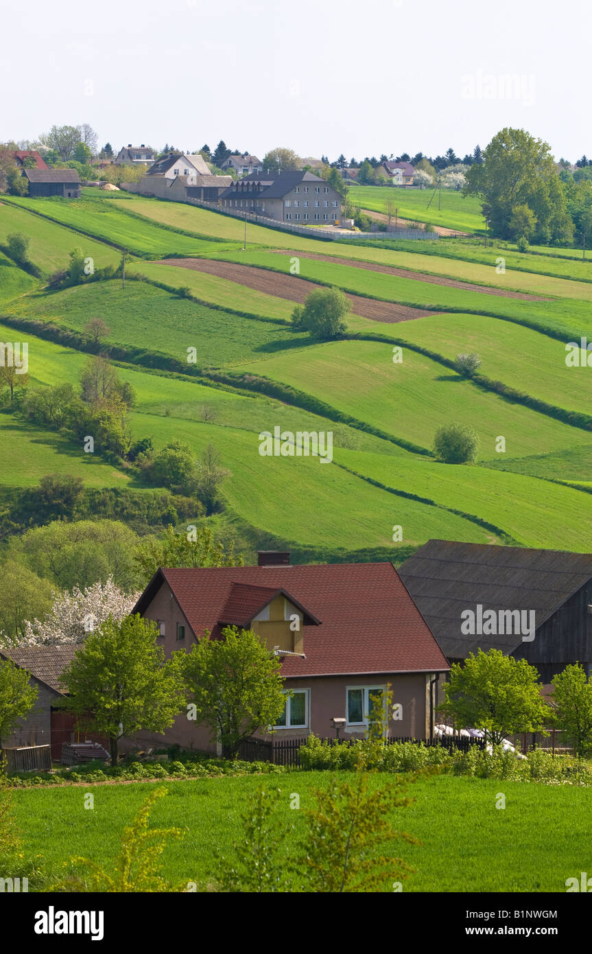 Farmland in rural Swietokrzyskie Mountains Poland Stock Photo - Alamy
