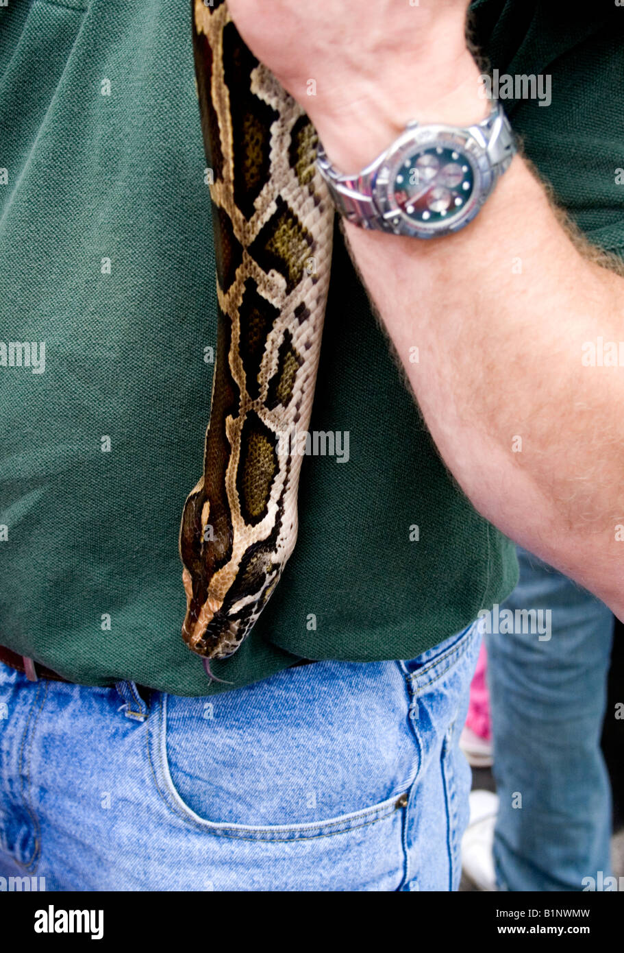 Snake zoo hi-res stock photography and images - Alamy