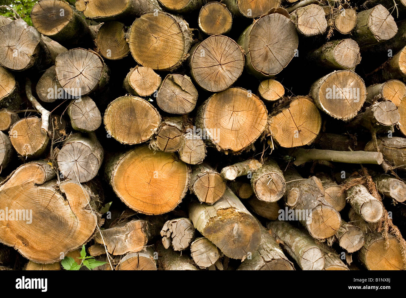 Close up of rustic wood pile Stock Photo - Alamy