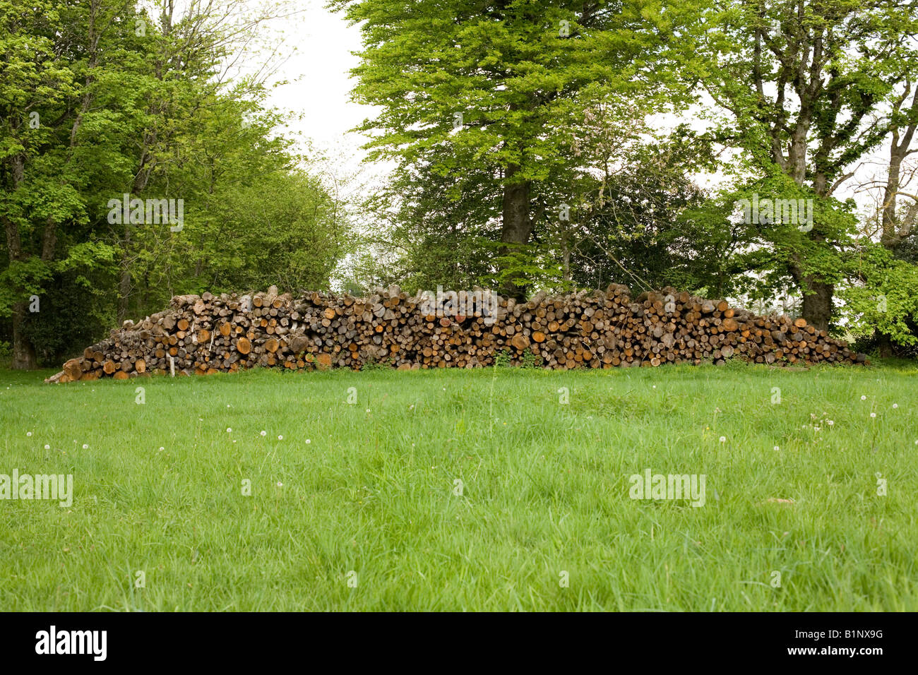 rustic wood pile Stock Photo - Alamy