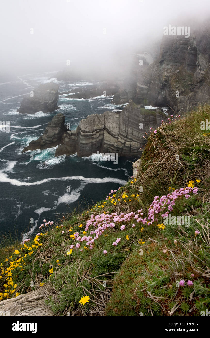 Co cork hi-res stock photography and images - Alamy