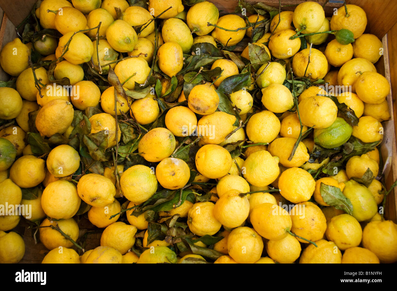 Lemons in a market in Paris Stock Photo - Alamy