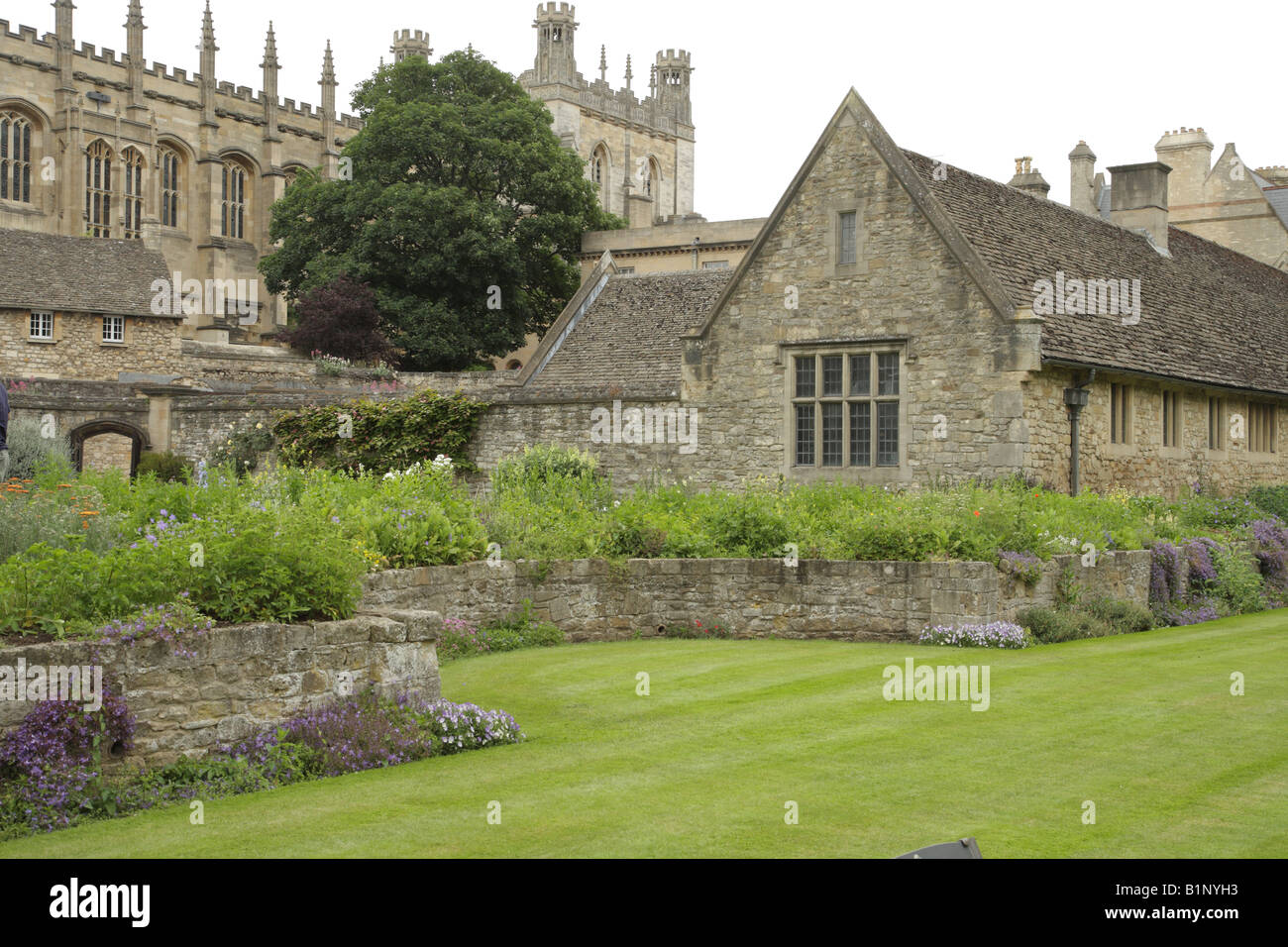Lawn in front of university buildings Stock Photo - Alamy