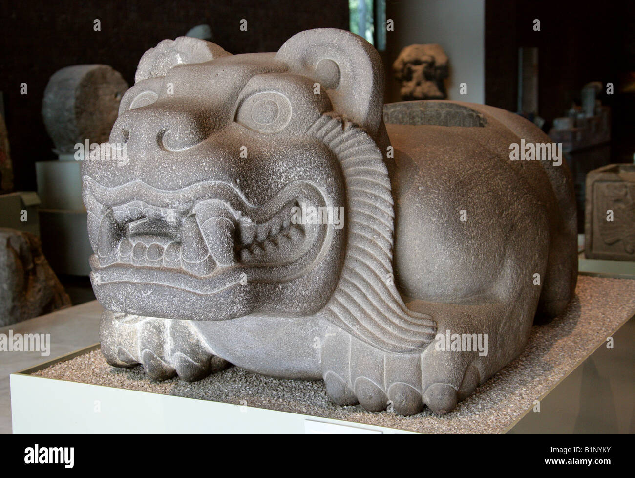 Jaguar or Ocelotl Cuauhxicalli, National Museum of Anthropology ...