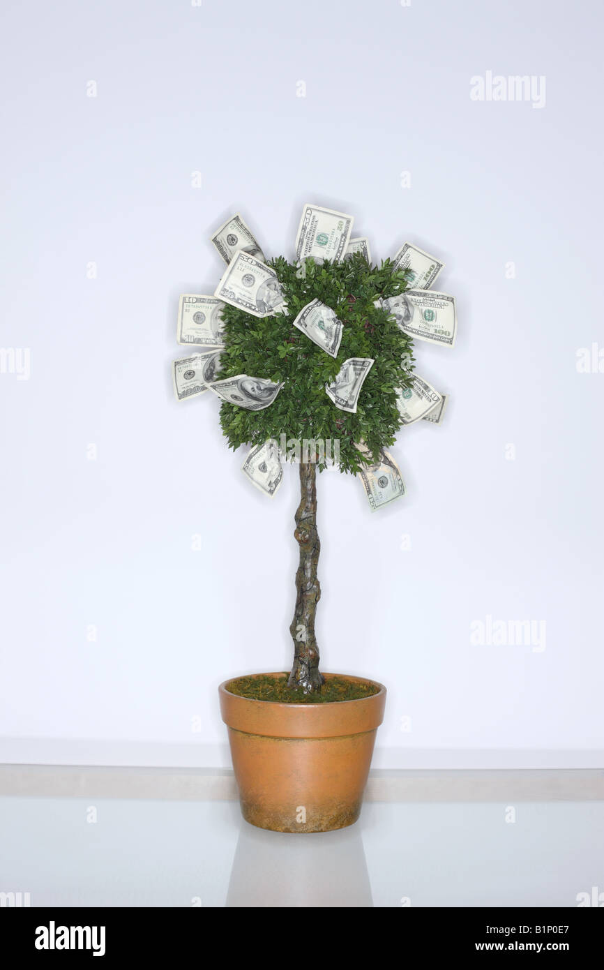 Dollar bills growing on a tree Stock Photo - Alamy