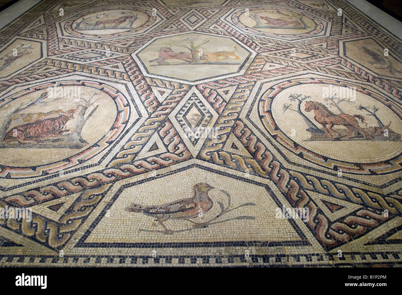 Ancient polychrome Roman floor mosaic exhibited in DHM Deutsches Historisches Museum Zeughaus ...