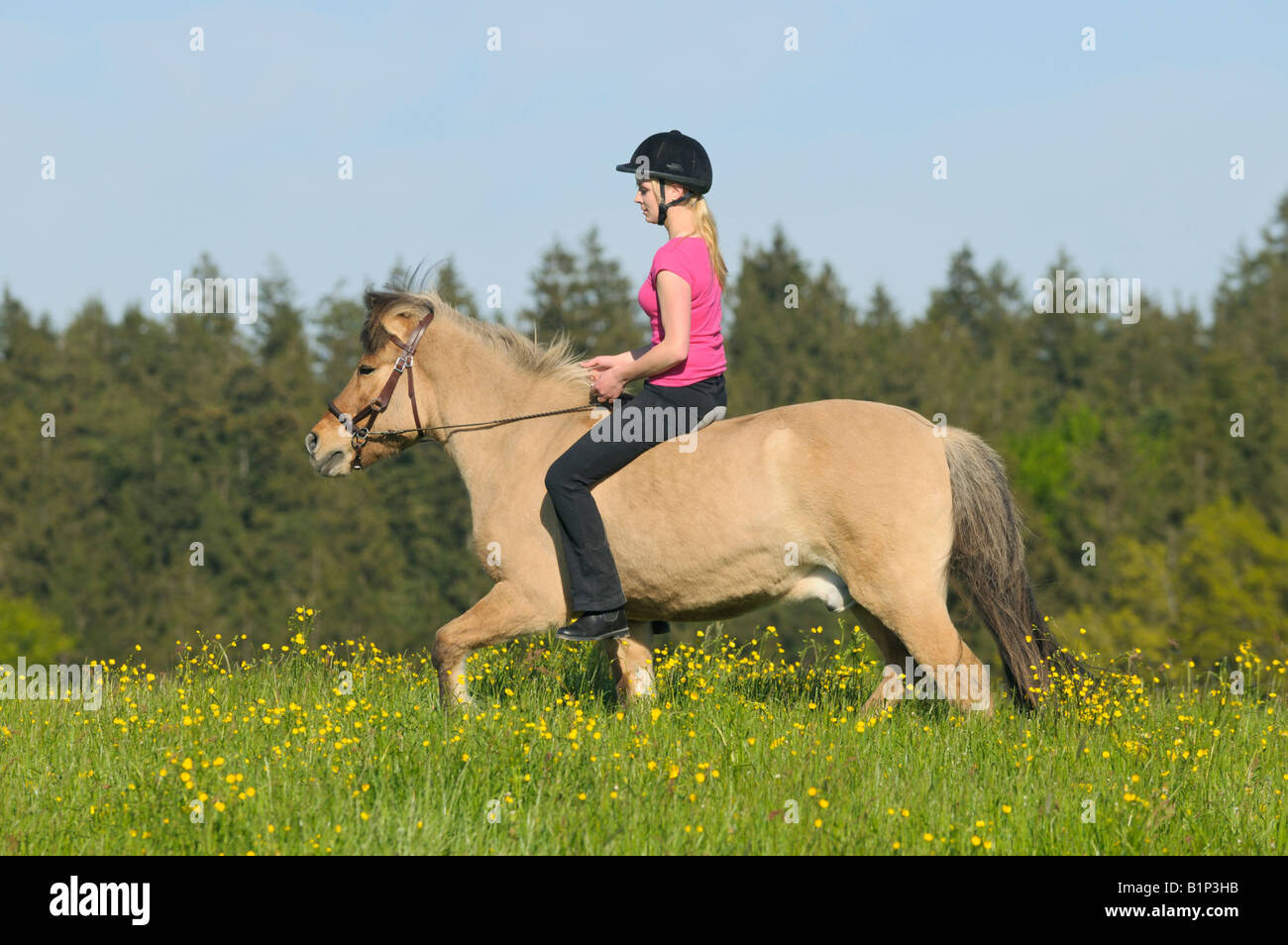 Riding without saddle hi-res stock photography and images - Alamy