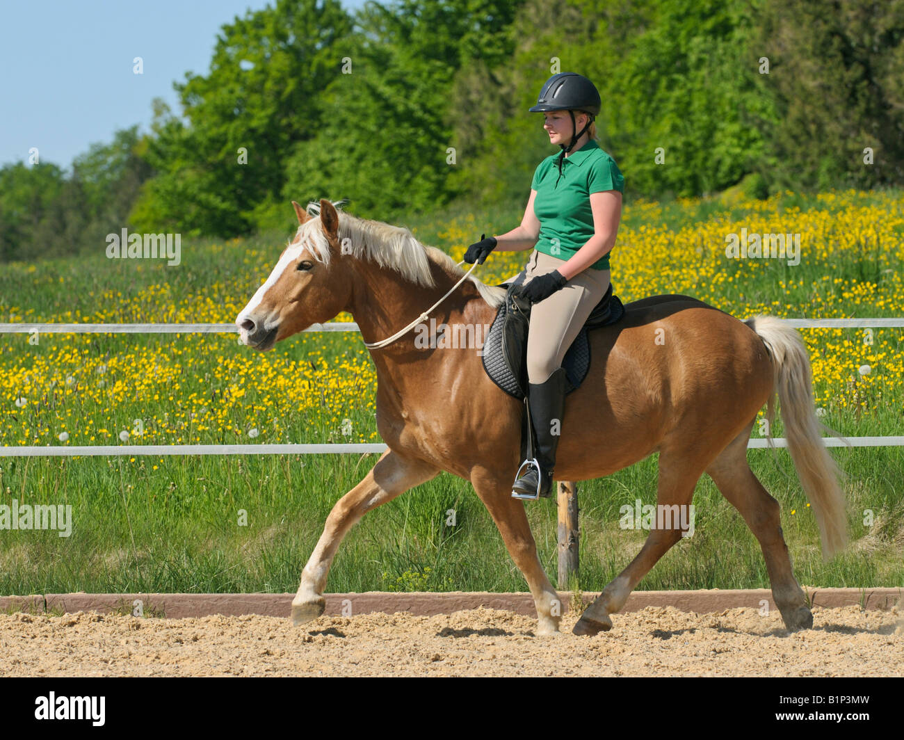 Ring rider hi-res stock photography and images - Alamy