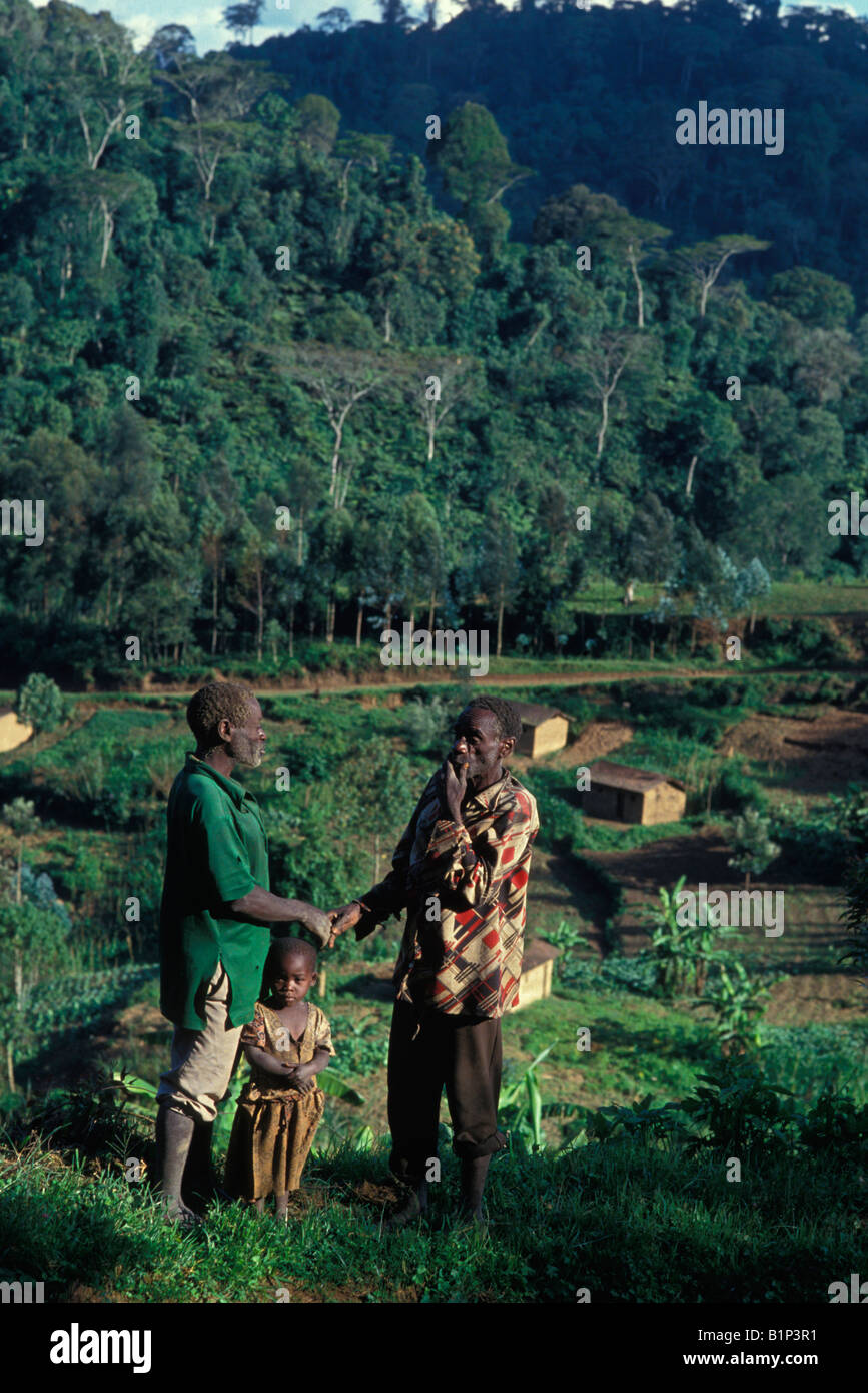 Impunyu forest Batwa Stock Photo - Alamy
