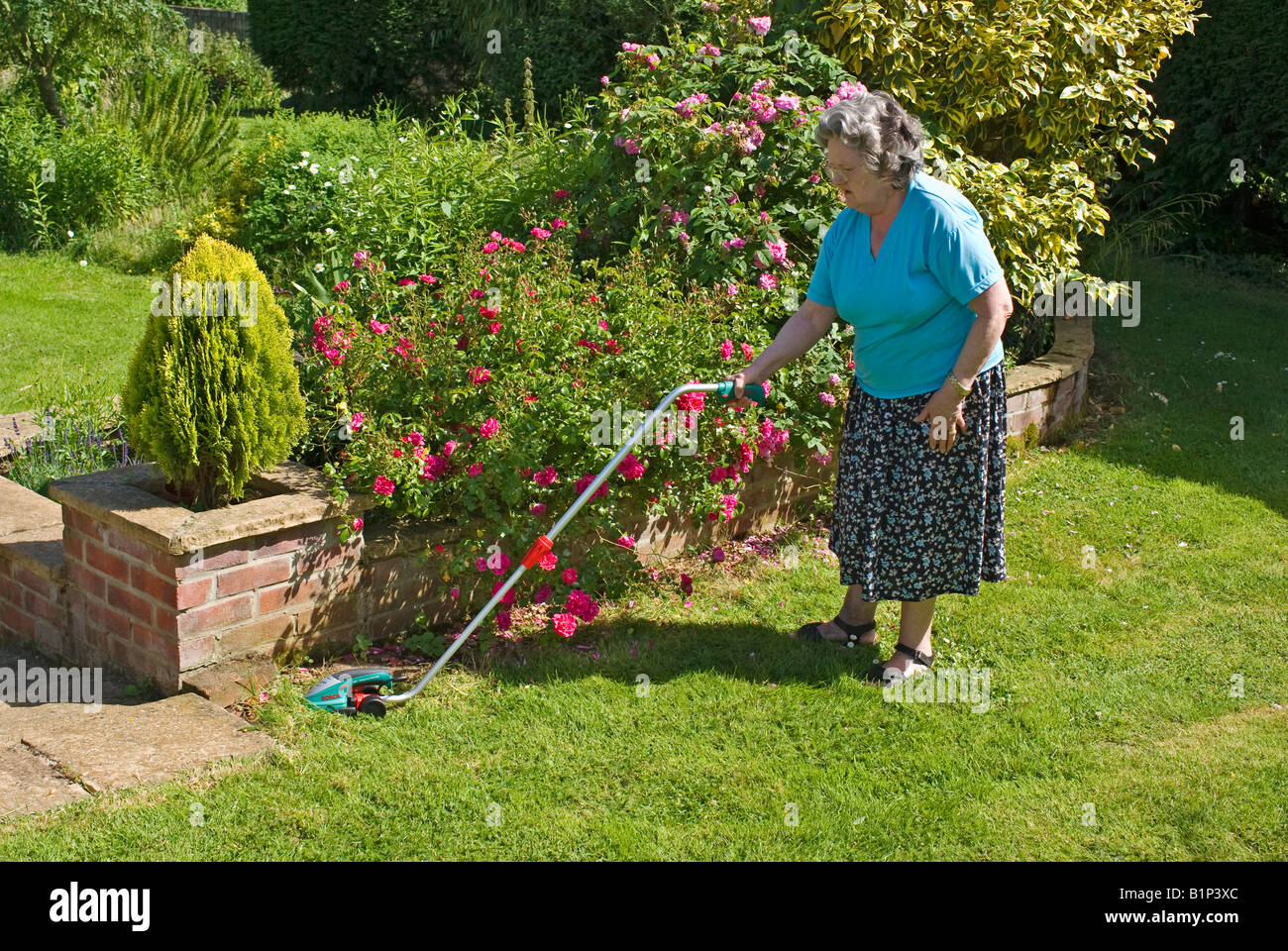 Lady gardener using a Bosch Isio cordless lawn grass edging trimmer ...
