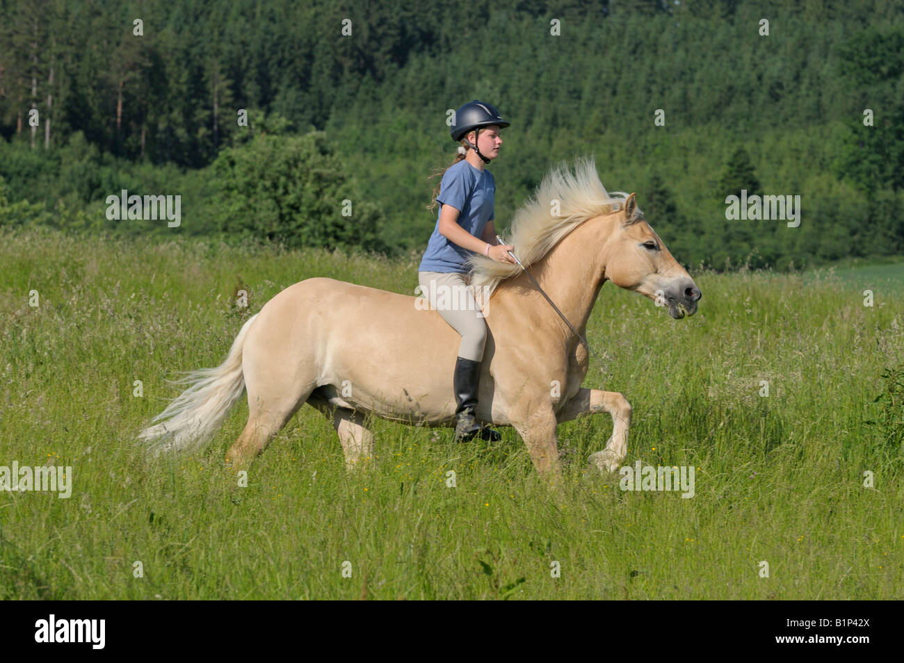Woman riding horseback no saddle hi-res stock photography and images ...
