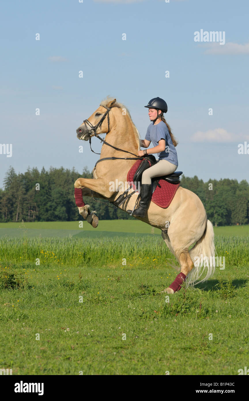 Rearing Horse Rider Riding High Resolution Stock Photography and Images ...