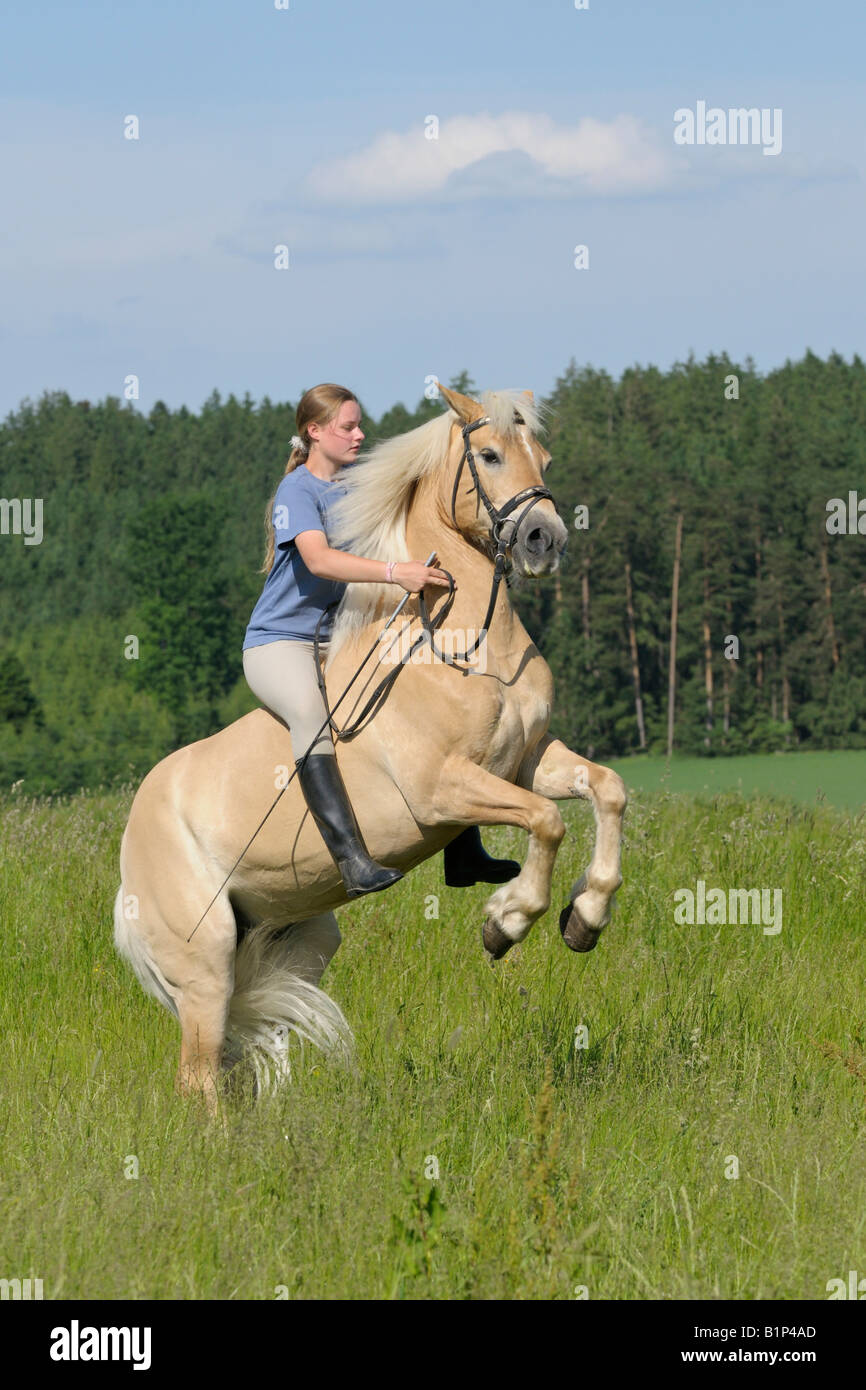 Woman Riding Horseback No Saddle High Resolution Stock Photography and ...
