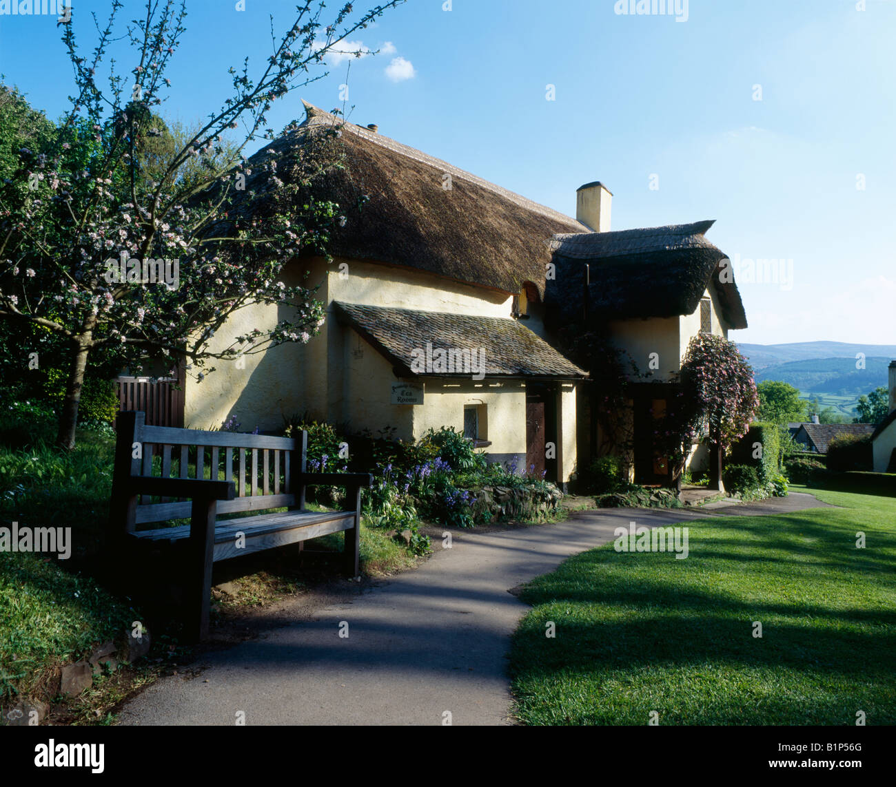 The tearoom by the village green in the National Trust village of ...