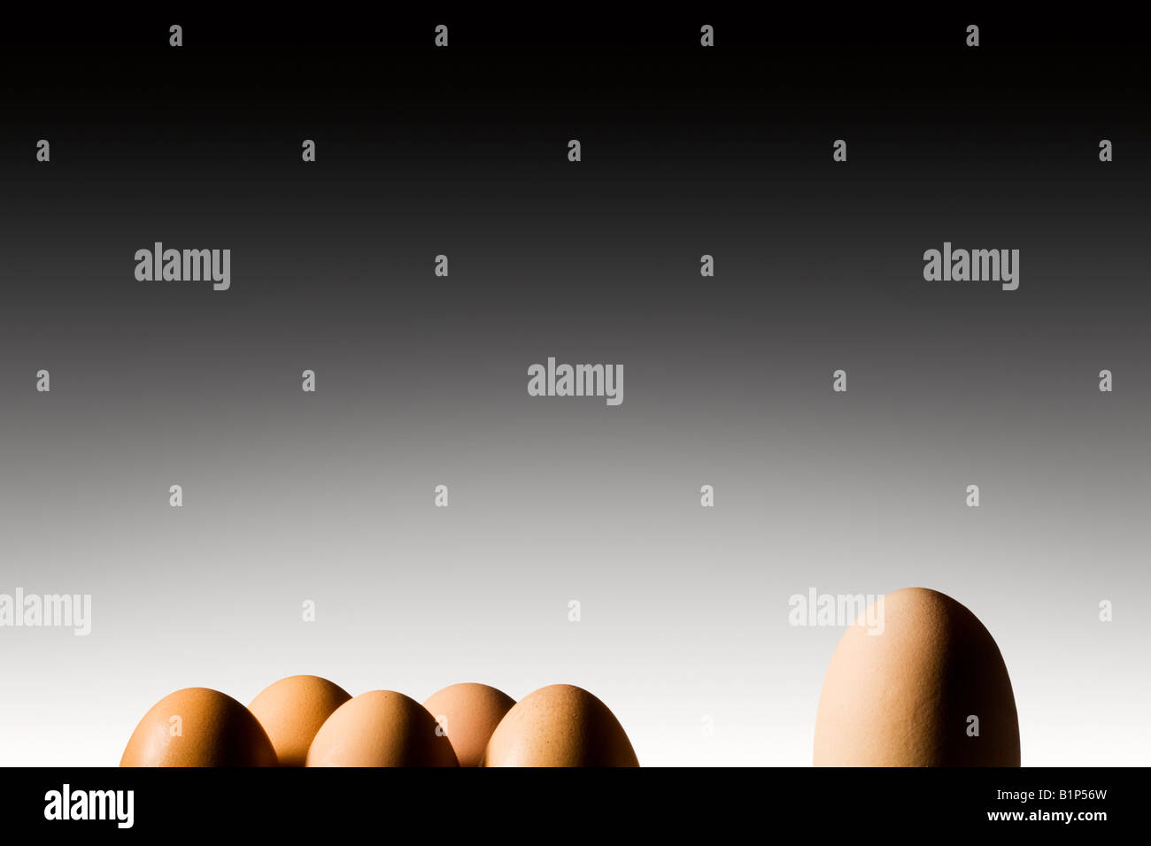 Eggs, Five Small and One Big Stock Photo - Alamy