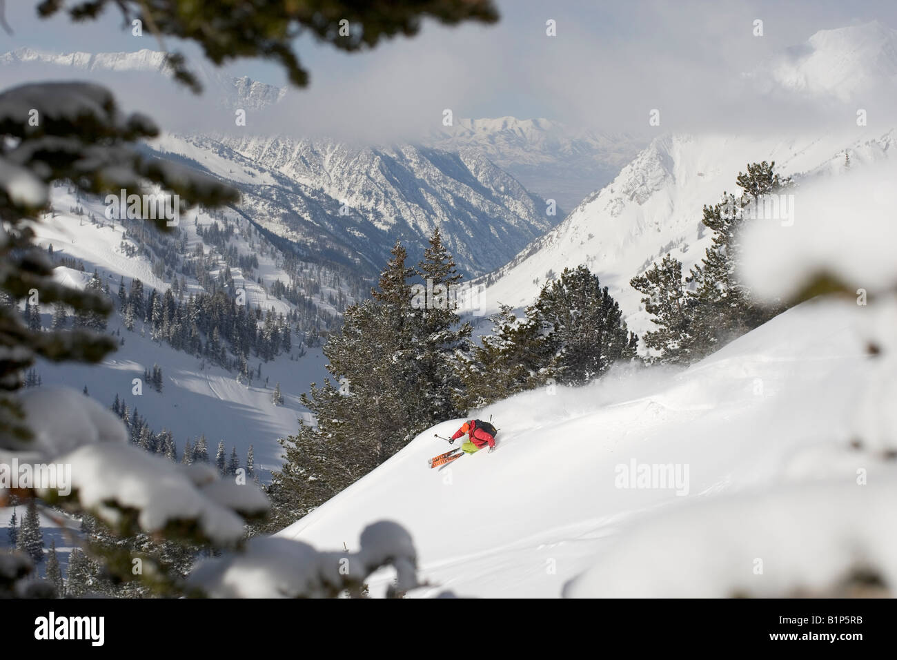 Ben wheeler very deep powder snow alta hi-res stock photography and ...