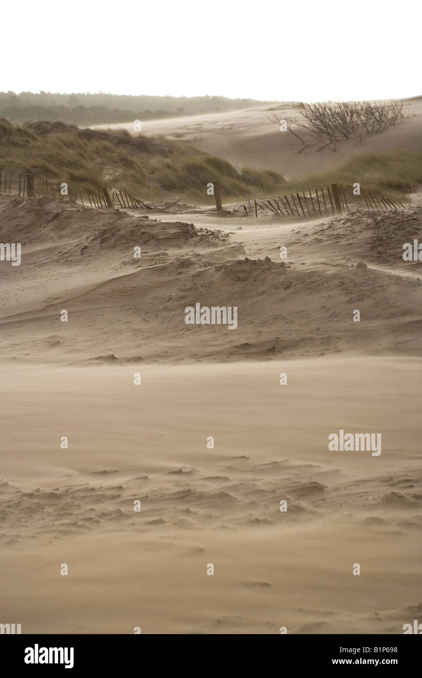 Sand blowing around sand dunes Stock Photo - Alamy