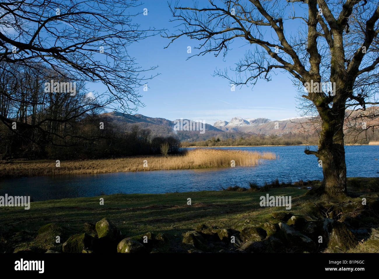 The River Brathay near Elterwater Stock Photo - Alamy
