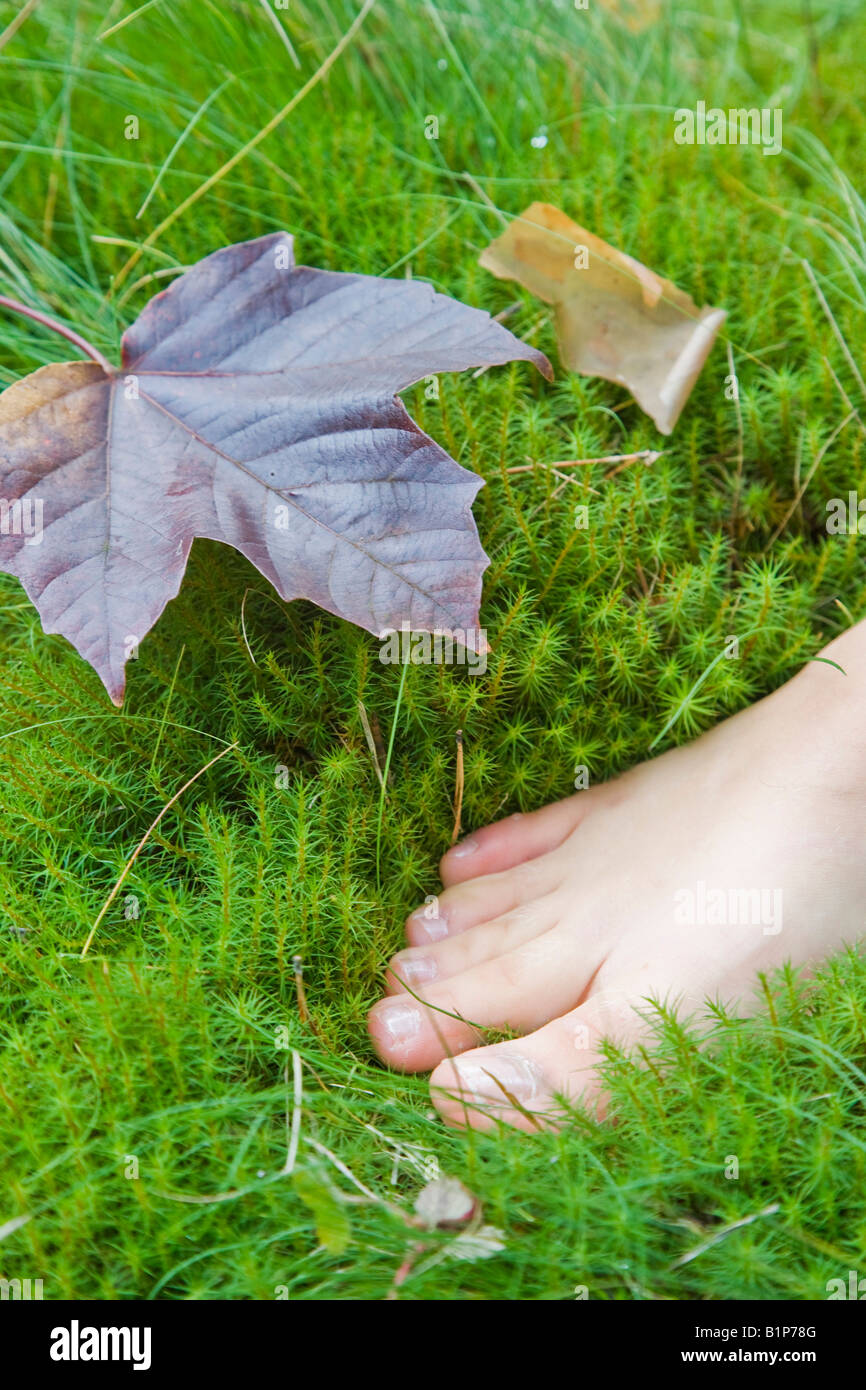 woman foot in moss Stock Photo - Alamy
