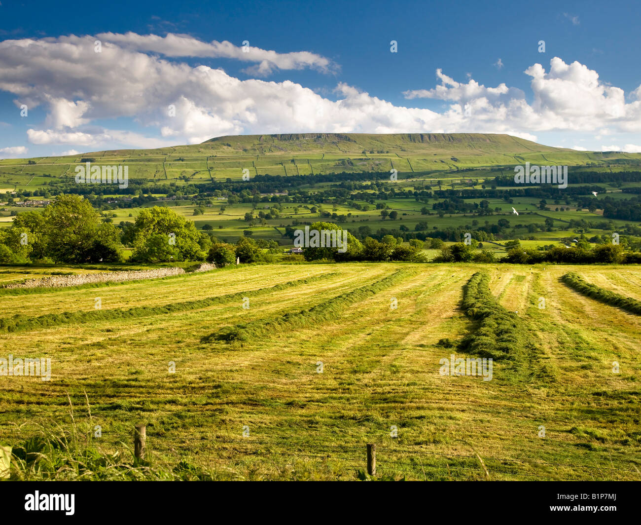 Pen Hill from near Redmire Wensleydale Yorkshire Dales National Park ...
