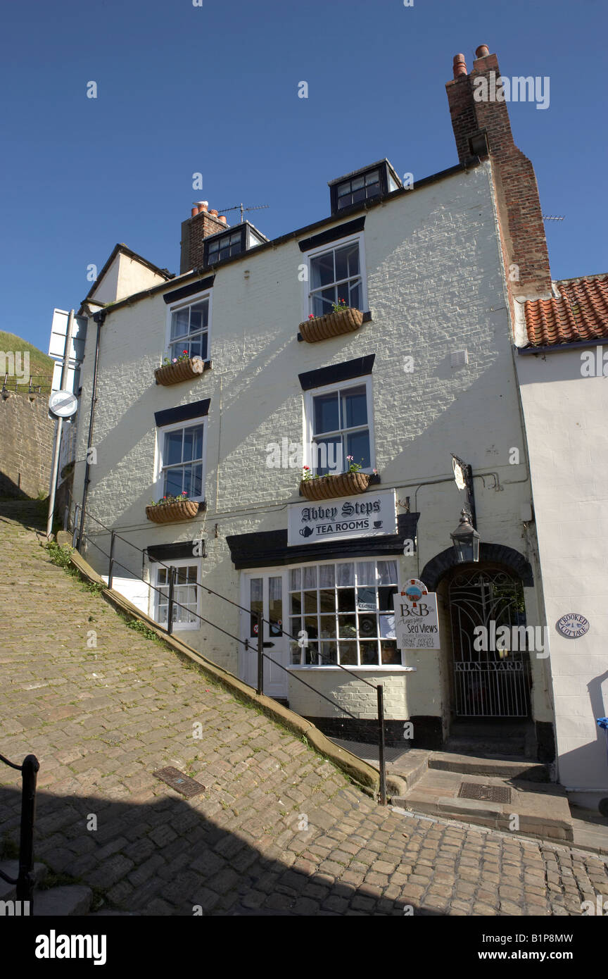 Whitby abbey steps hi-res stock photography and images - Alamy