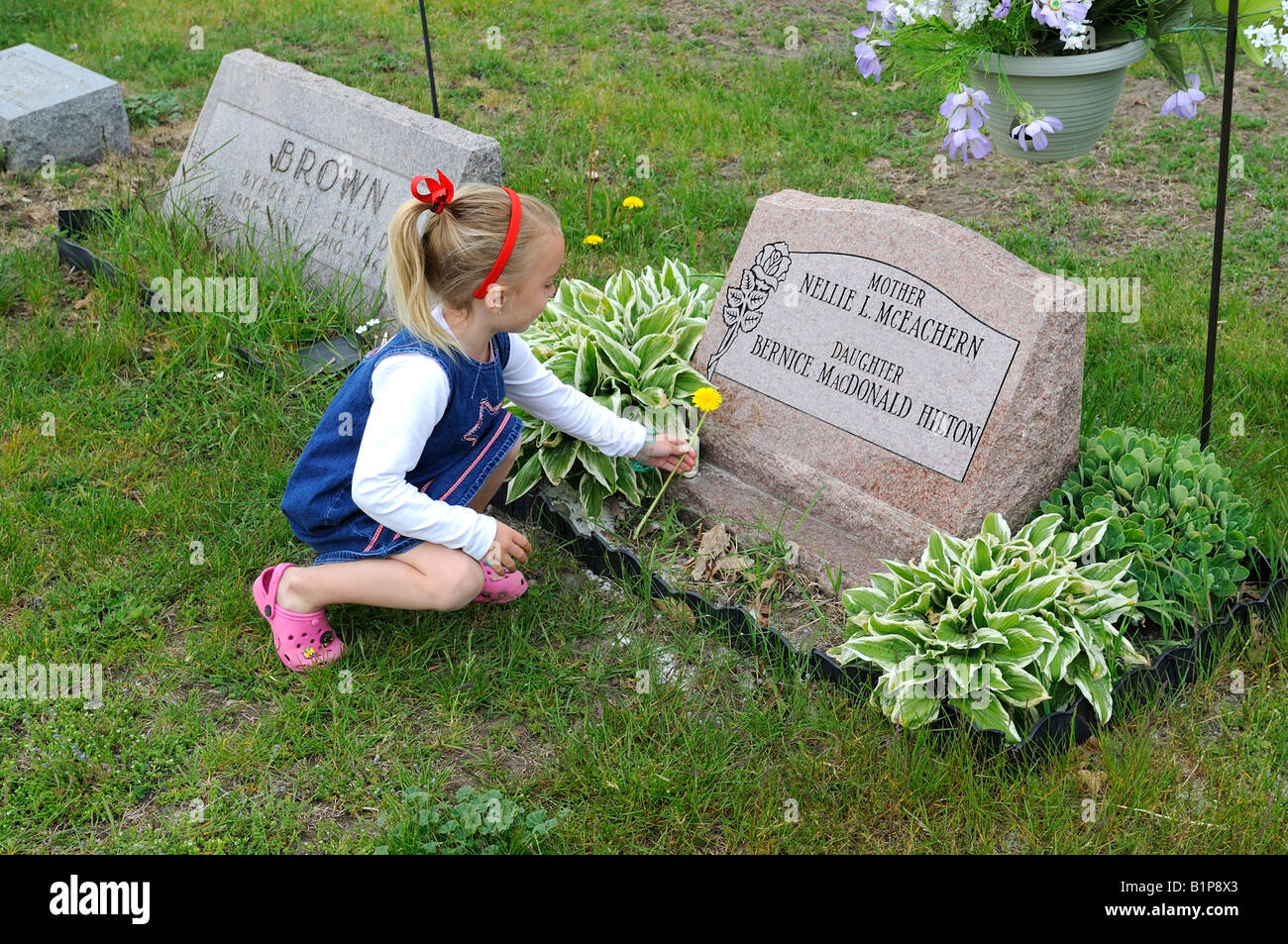 5 year old girl places flower at grave site Stock Photo - Alamy