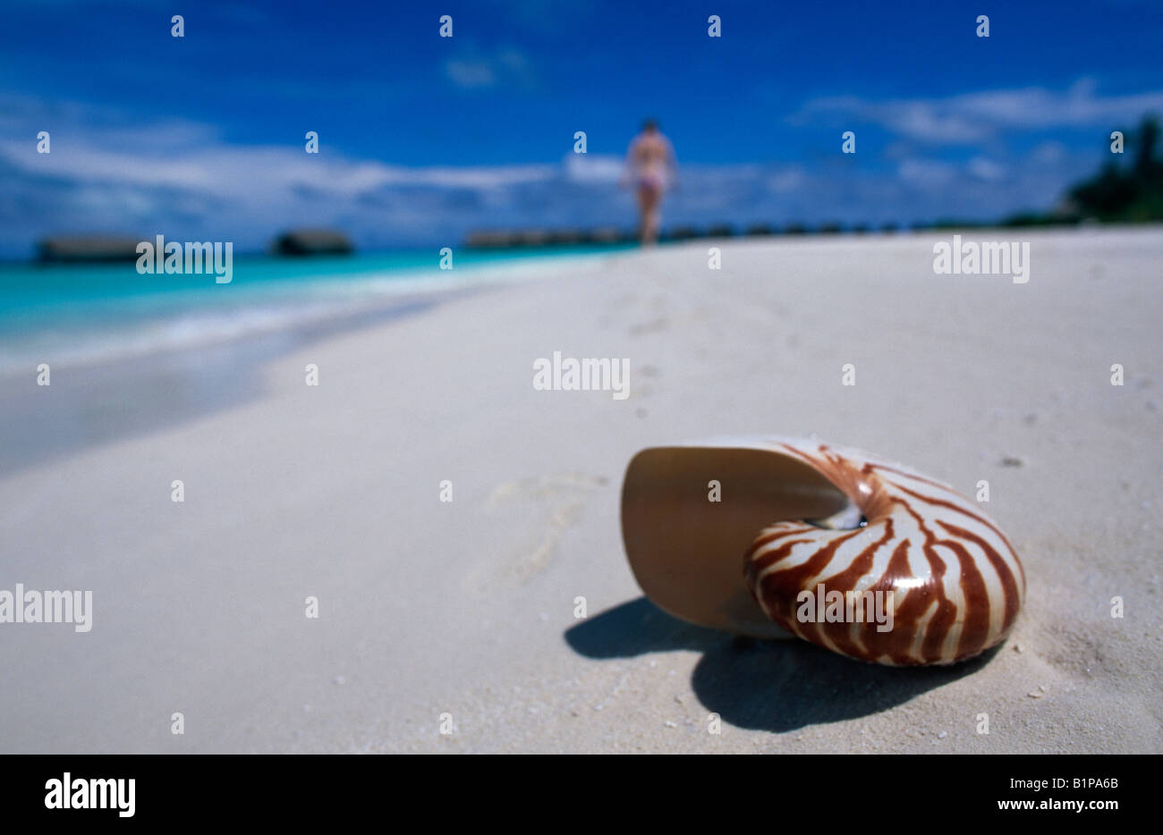 Maldives impressions hi-res stock photography and images - Alamy