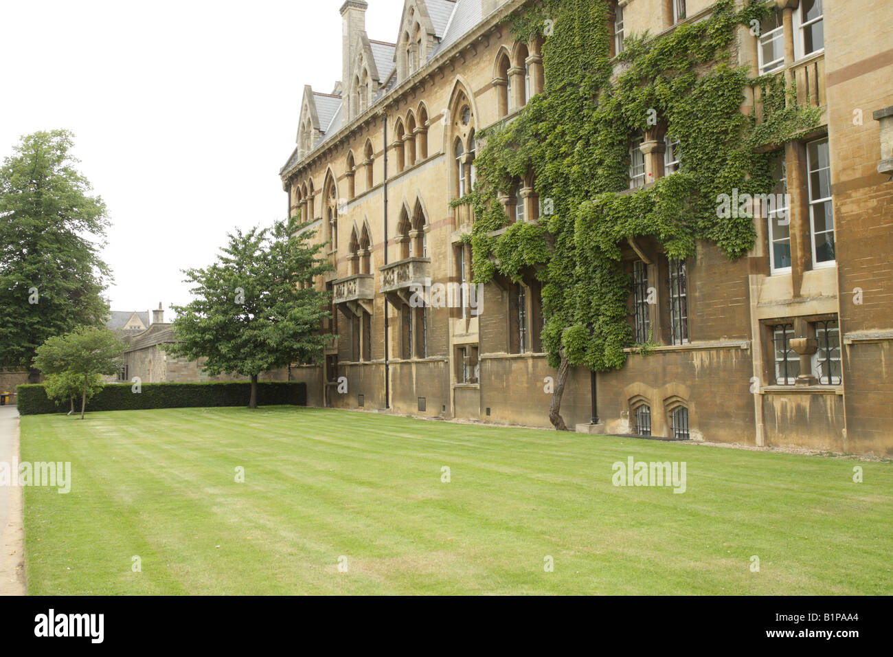 Grass in front of the university building Stock Photo - Alamy
