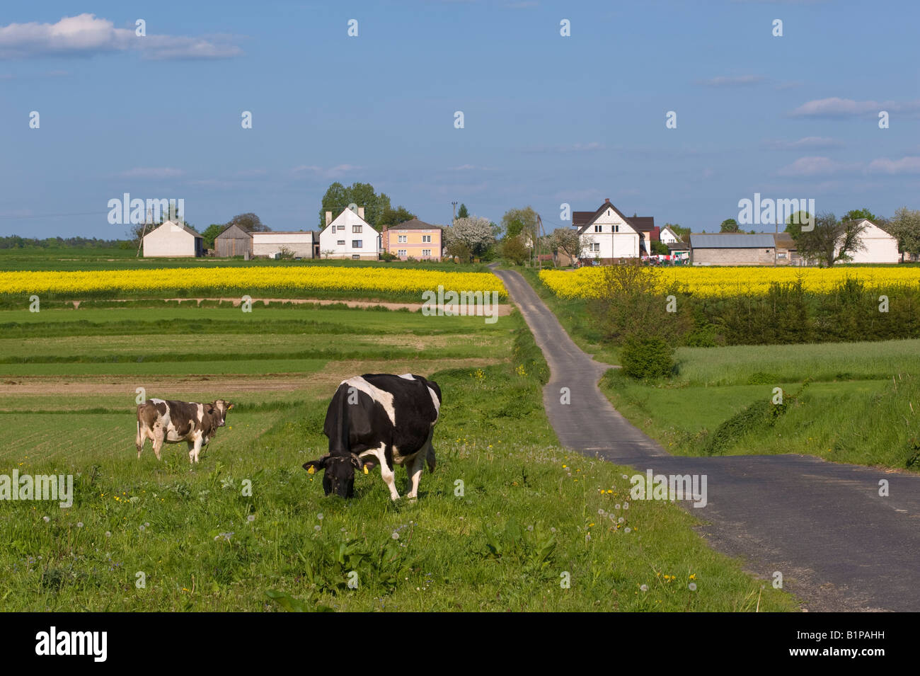 Rural landscape in Eastern Poland near Lublin Poland Stock Photo - Alamy