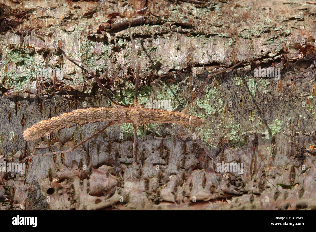 5056120 hi-res stock photography and images - Alamy