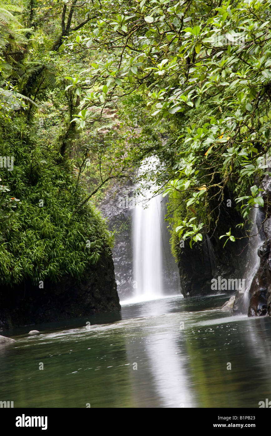 Tobu Vei Tui Falls Tavoro National Park Taveuni Fiji Stock Photo - Alamy
